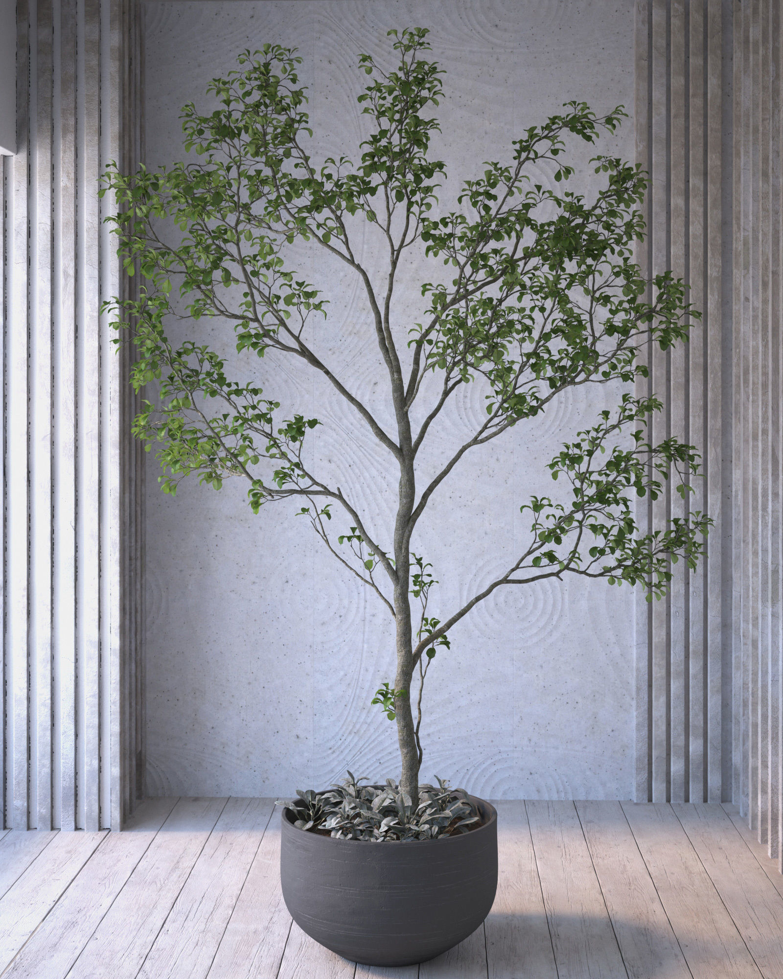 Archmodels vol 268 - collection of indoor plants 3D model | CGTrader