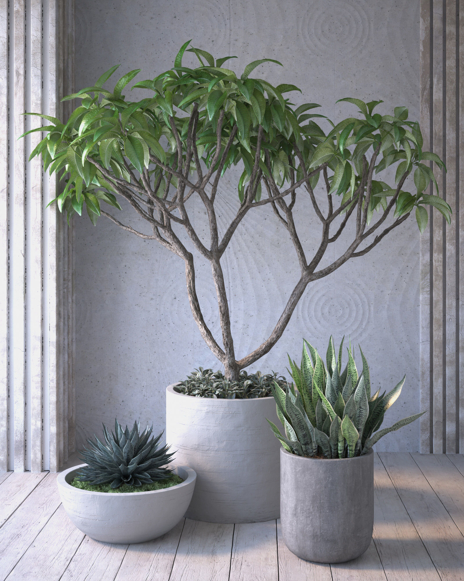 Archmodels vol 268 - collection of indoor plants 3D model | CGTrader