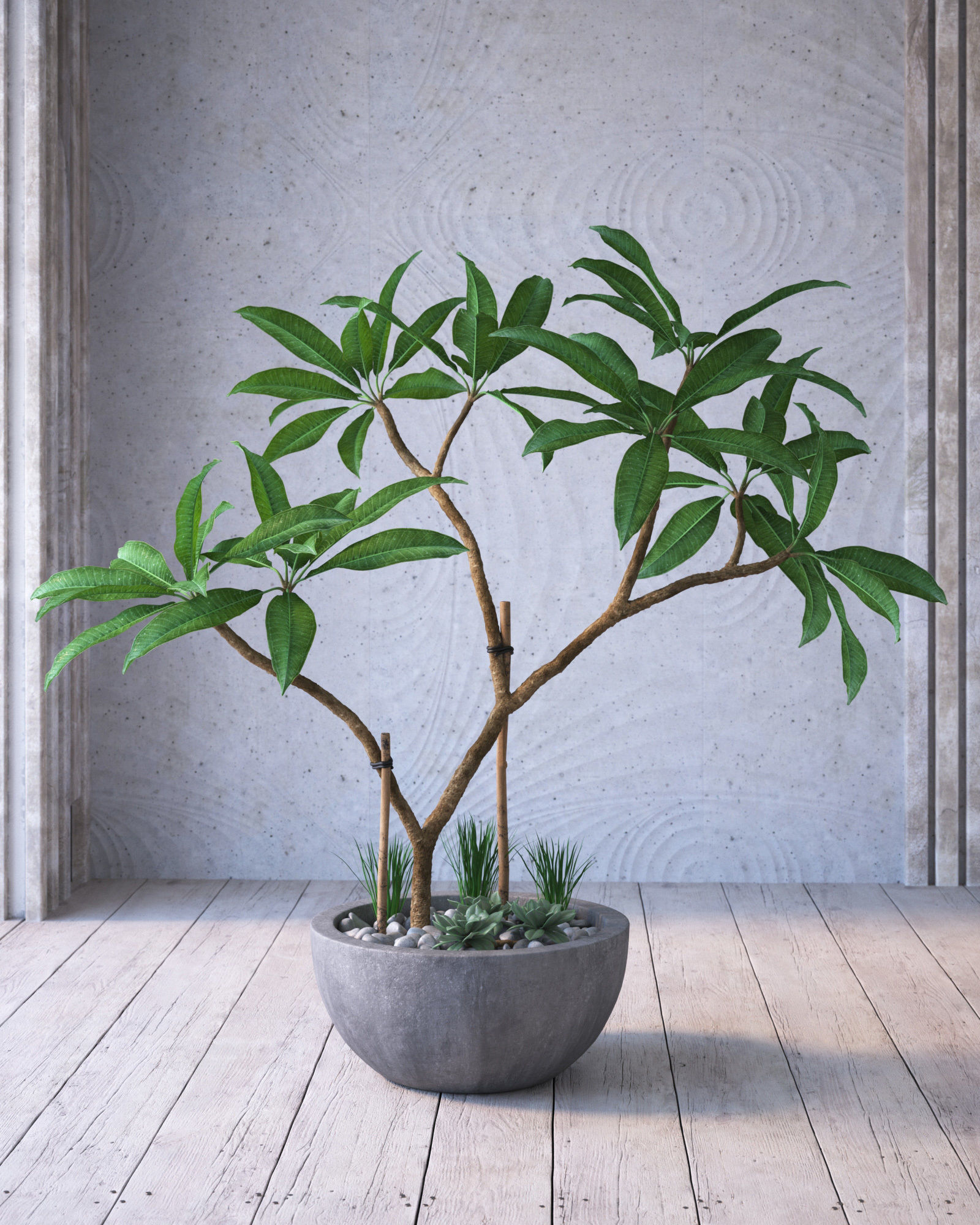 Archmodels vol 268 - collection of indoor plants 3D model | CGTrader