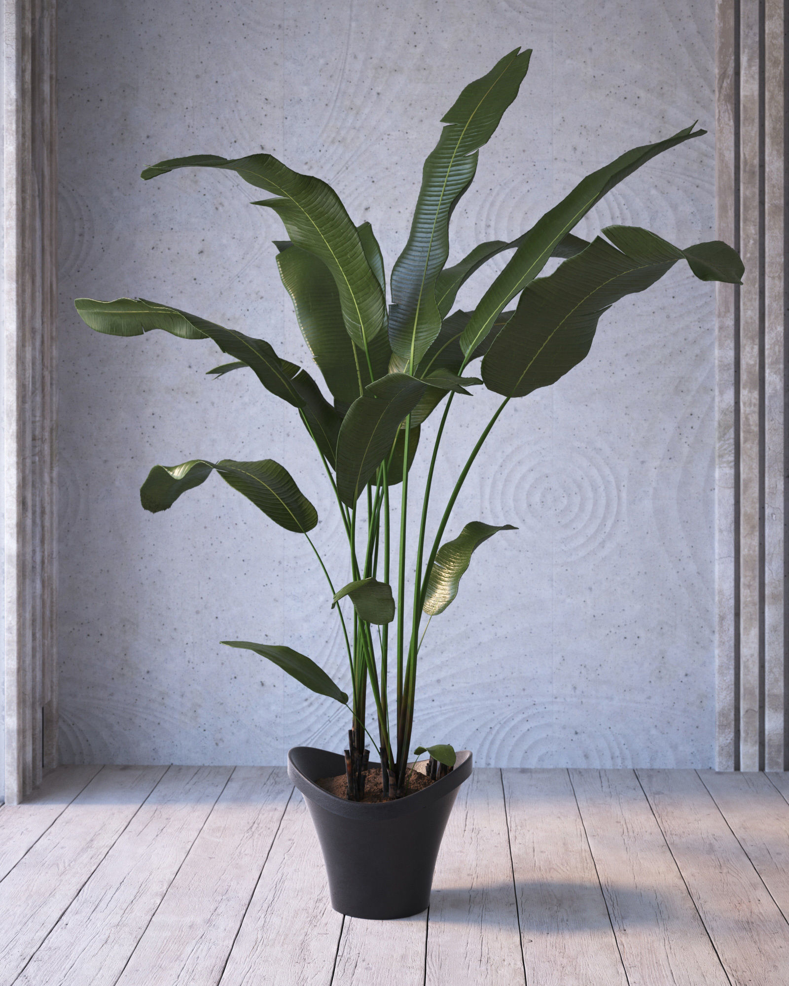 Archmodels vol 268 - collection of indoor plants 3D model | CGTrader