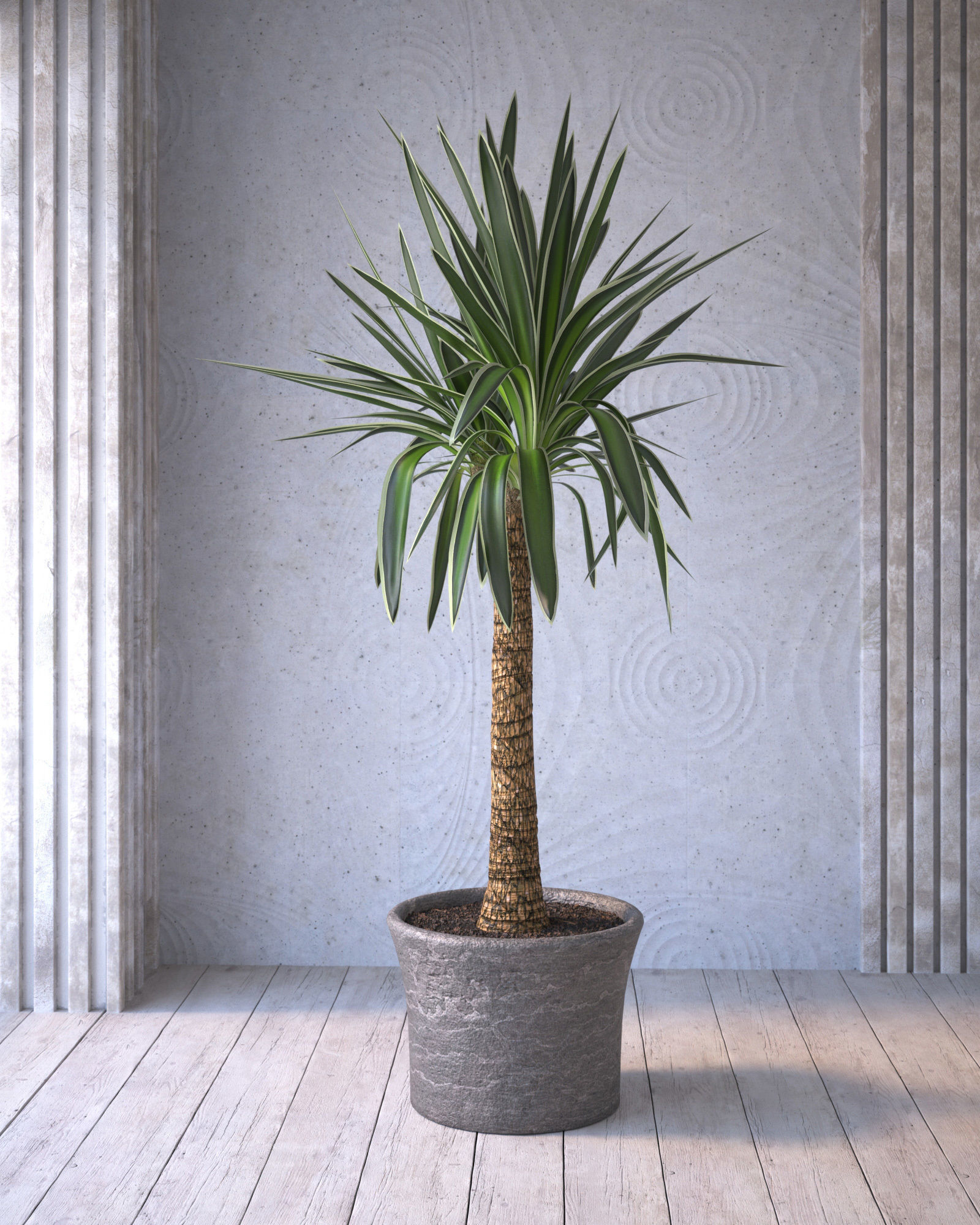 Archmodels vol 268 - collection of indoor plants 3D model | CGTrader