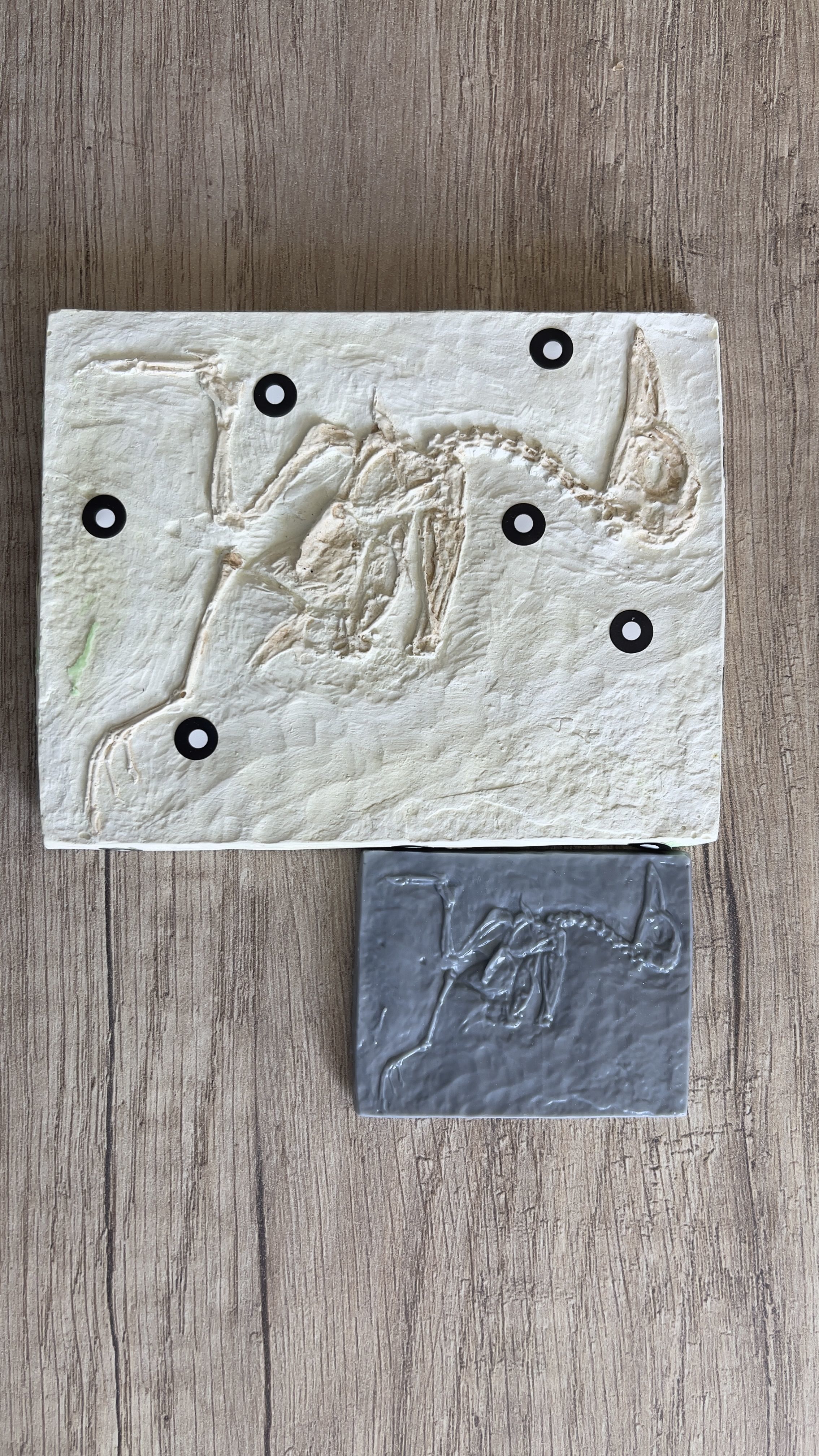 bird fossil 3D model 3D printable | CGTrader