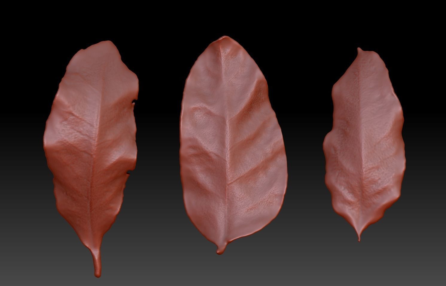leaf foliage leafage 3D printing leaves ZBrush Leaf Brush 3D model 3D ...