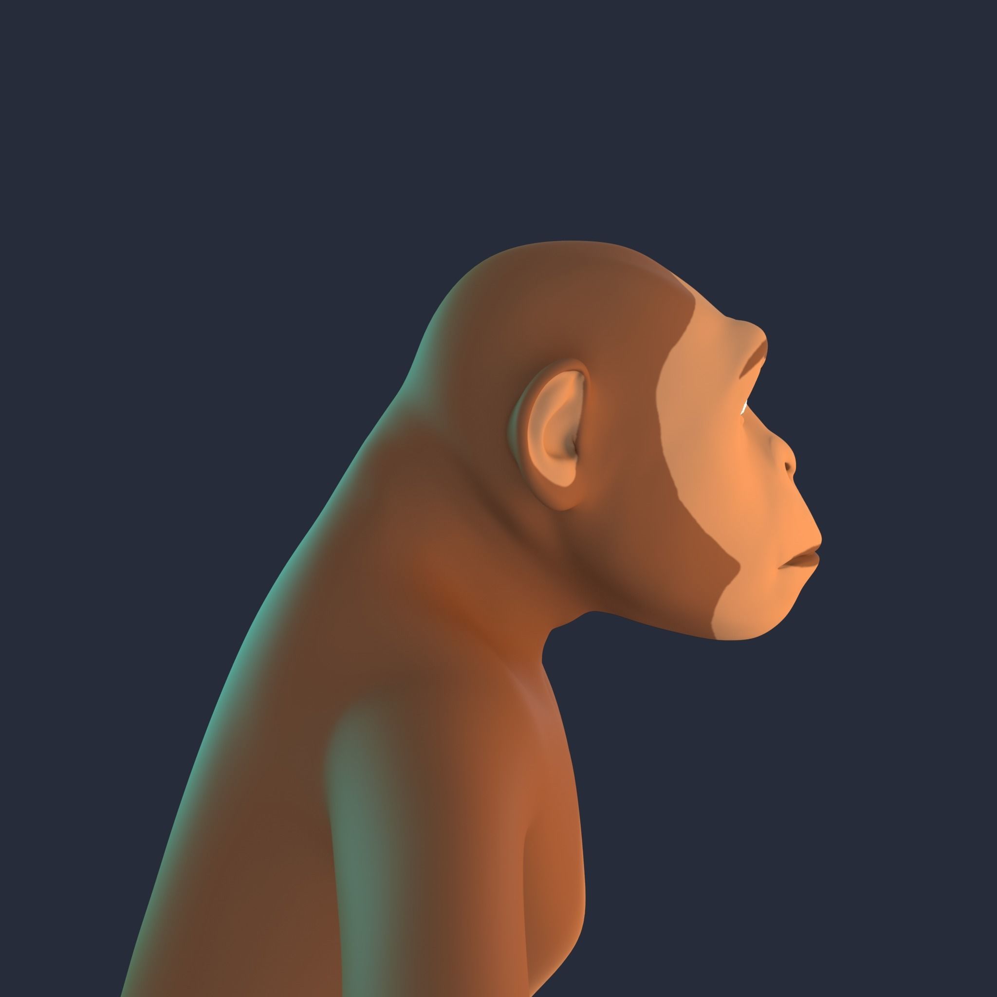 3D model Stylized Monkey NoRig VR / AR / low-poly | CGTrader