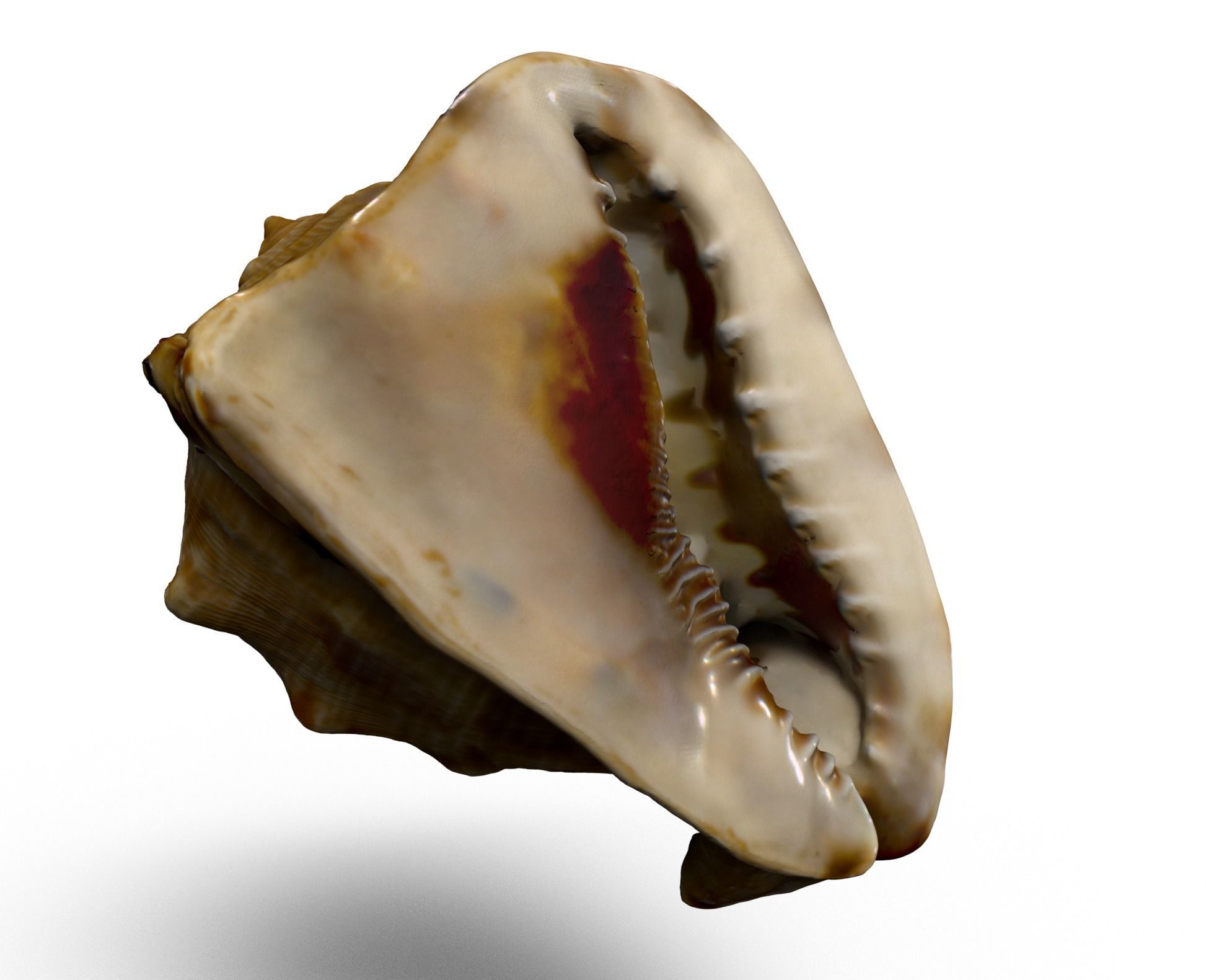 Queen Helmet shell 3D model | CGTrader