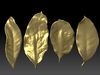 ZBrush Leaf Brush leaf foliage leafage 3D printing leaves 3D model 3D ...