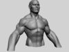 Stylized Male Upper Body 3D model | CGTrader