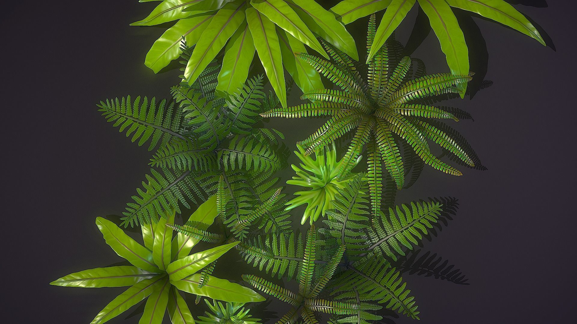 3D model Ferns Pack VR / AR / low-poly | CGTrader