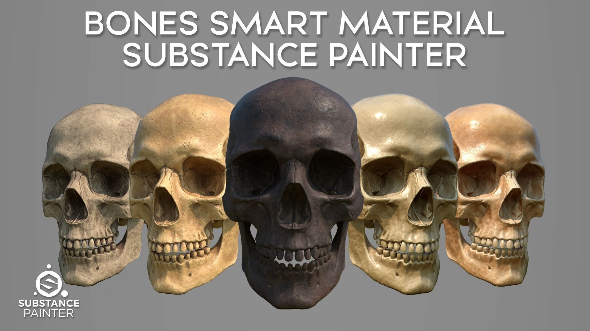 Bones Smart Material - Substance Painter 3D model | CGTrader