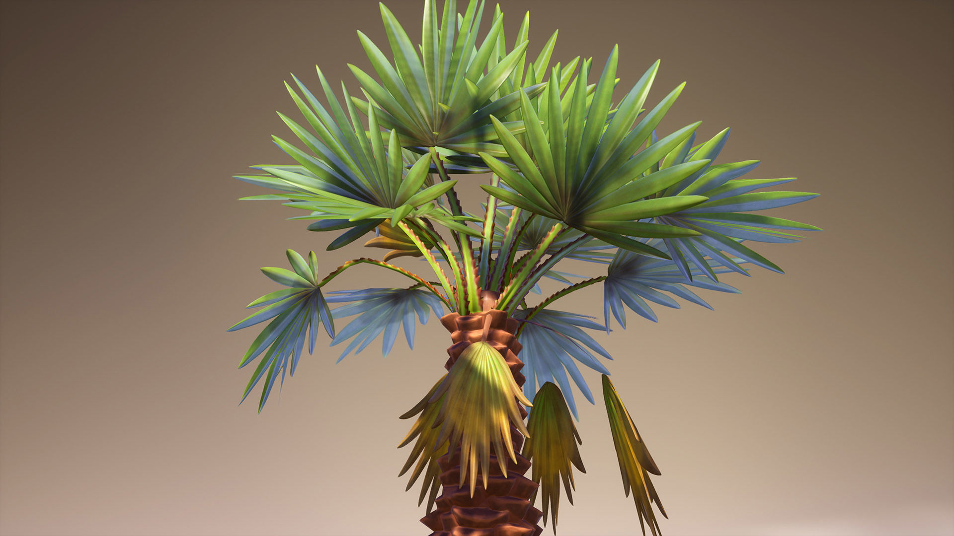 3D model Stylized Palm Trees Pack VR / AR / low-poly | CGTrader