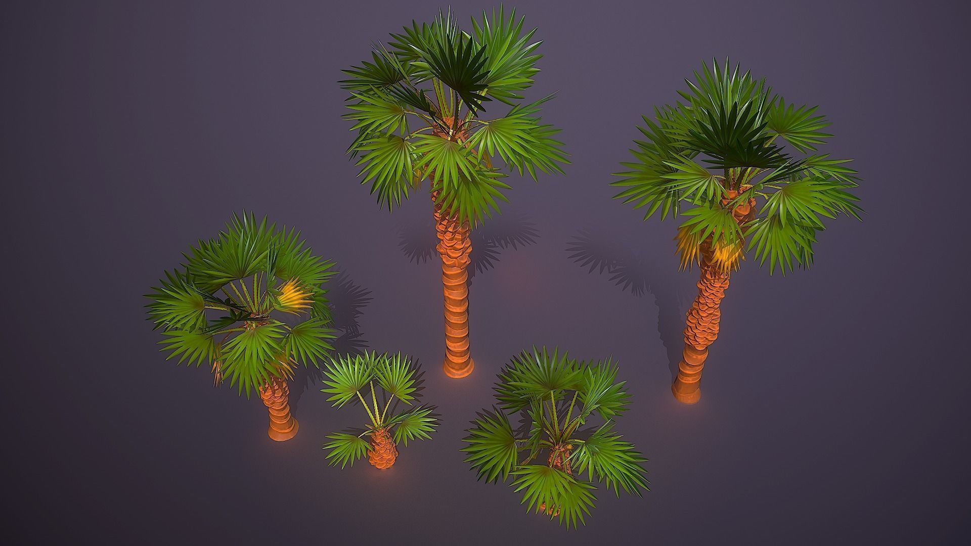 3D model Stylized Palm Trees Pack VR / AR / low-poly | CGTrader