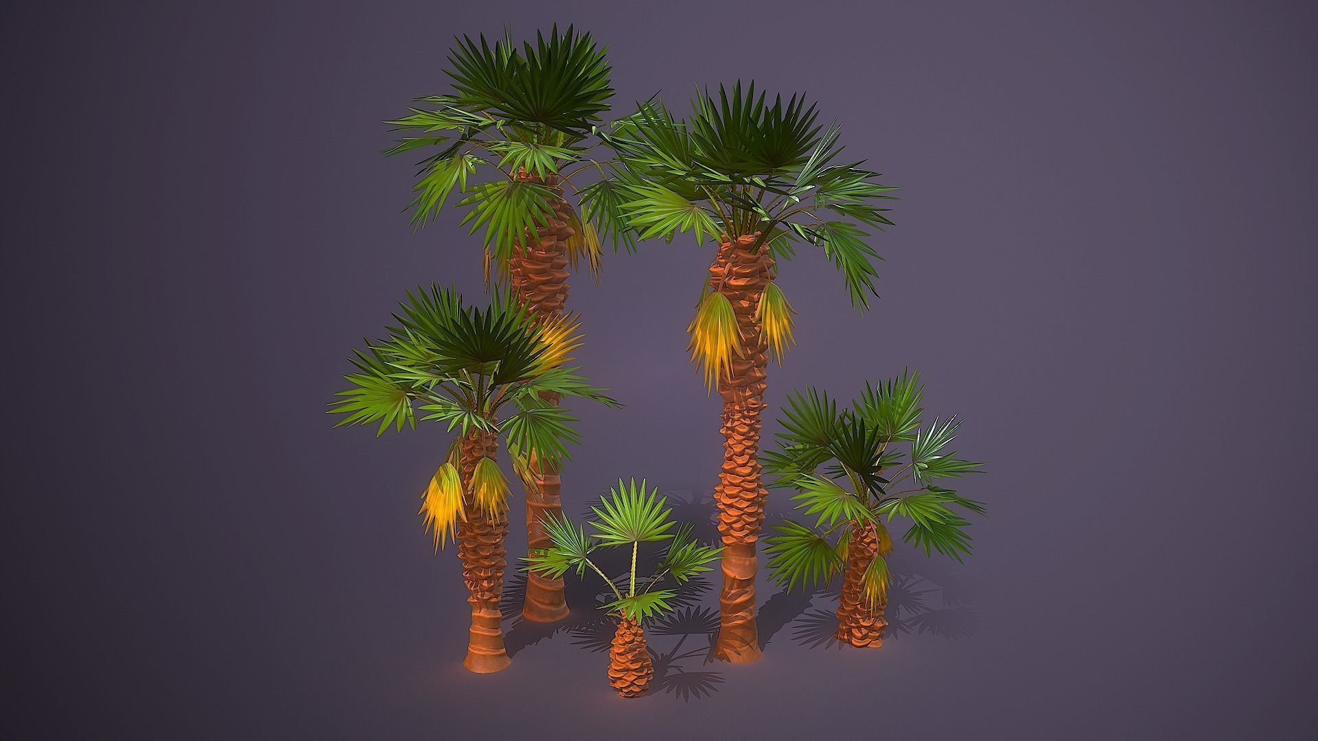 3D model Stylized Palm Trees Pack VR / AR / low-poly | CGTrader