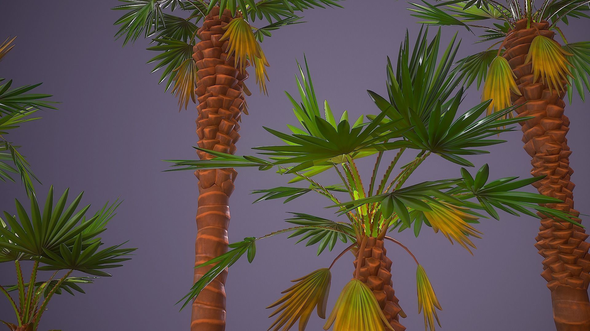 3D model Stylized Palm Trees Pack VR / AR / low-poly | CGTrader
