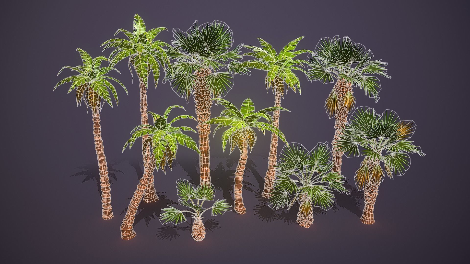 3D model Stylized Palm Trees Pack VR / AR / low-poly | CGTrader