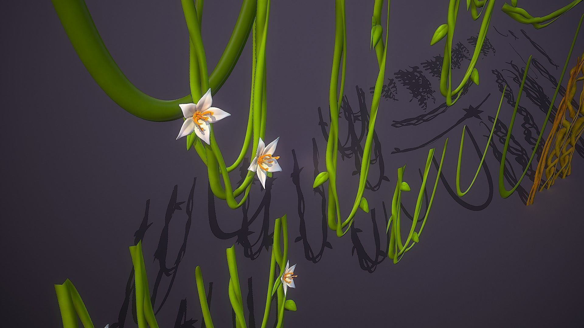 3D model Stylized Vines and Lianas VR / AR / low-poly | CGTrader