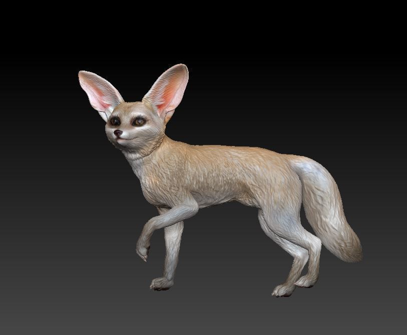 fennec fox 3D model 3D printable | CGTrader