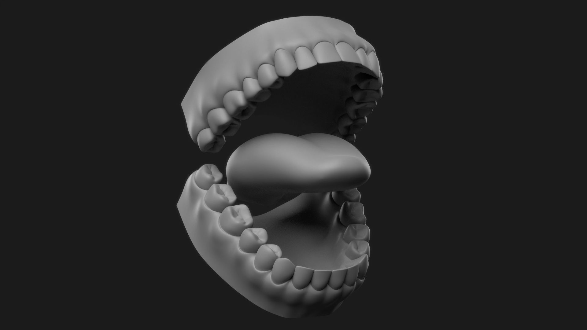 Realistic Human Jaws and Tongue 3D model | CGTrader