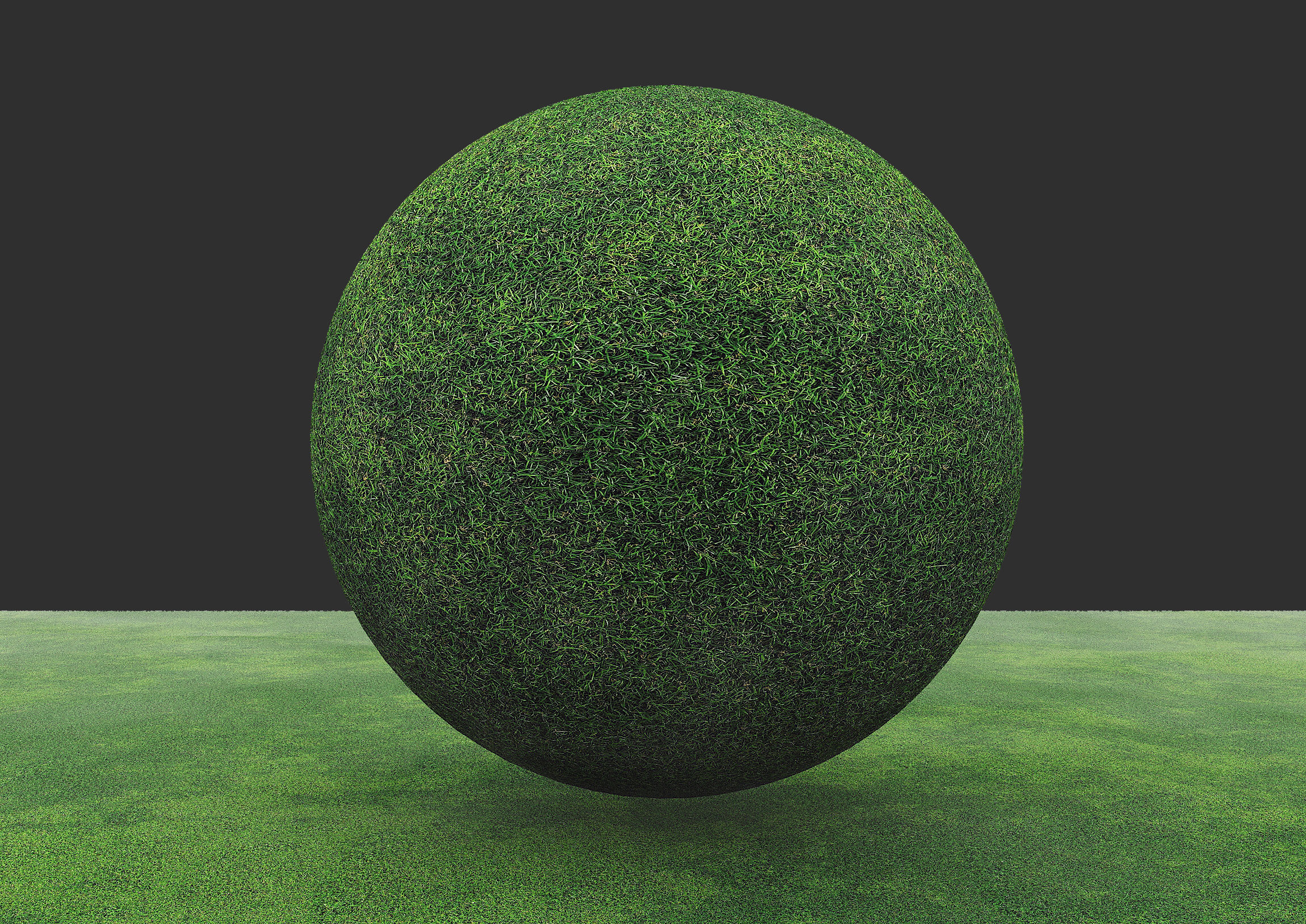 Grass material with seamless high quality maps- CoronaMtl Texture ...