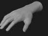 Realistic Man Hand 3D model | CGTrader