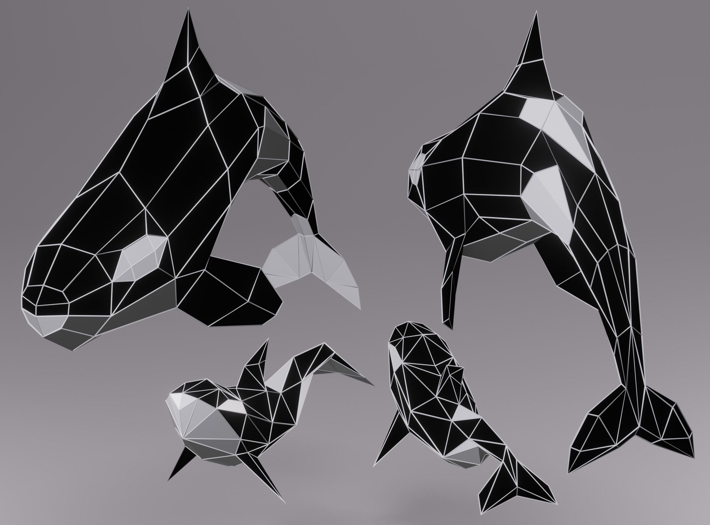 3D model Orca Whale Low Poly Model VR / AR / low-poly | CGTrader