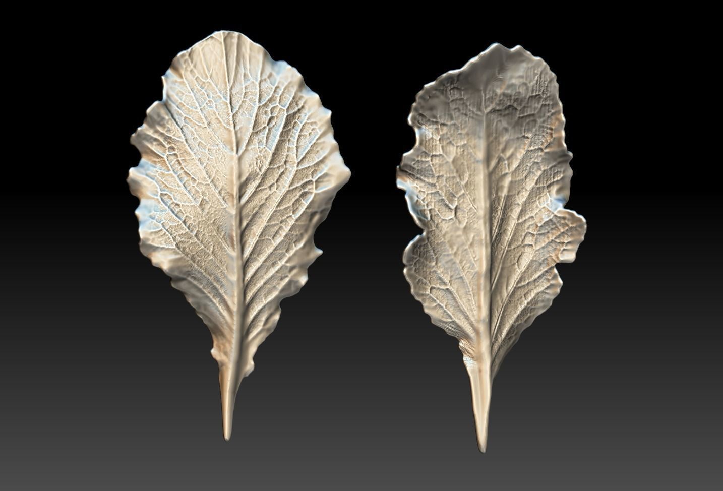 Leaf vegetable leaves leaf texture leaf sculpture 3D printing 3D model ...