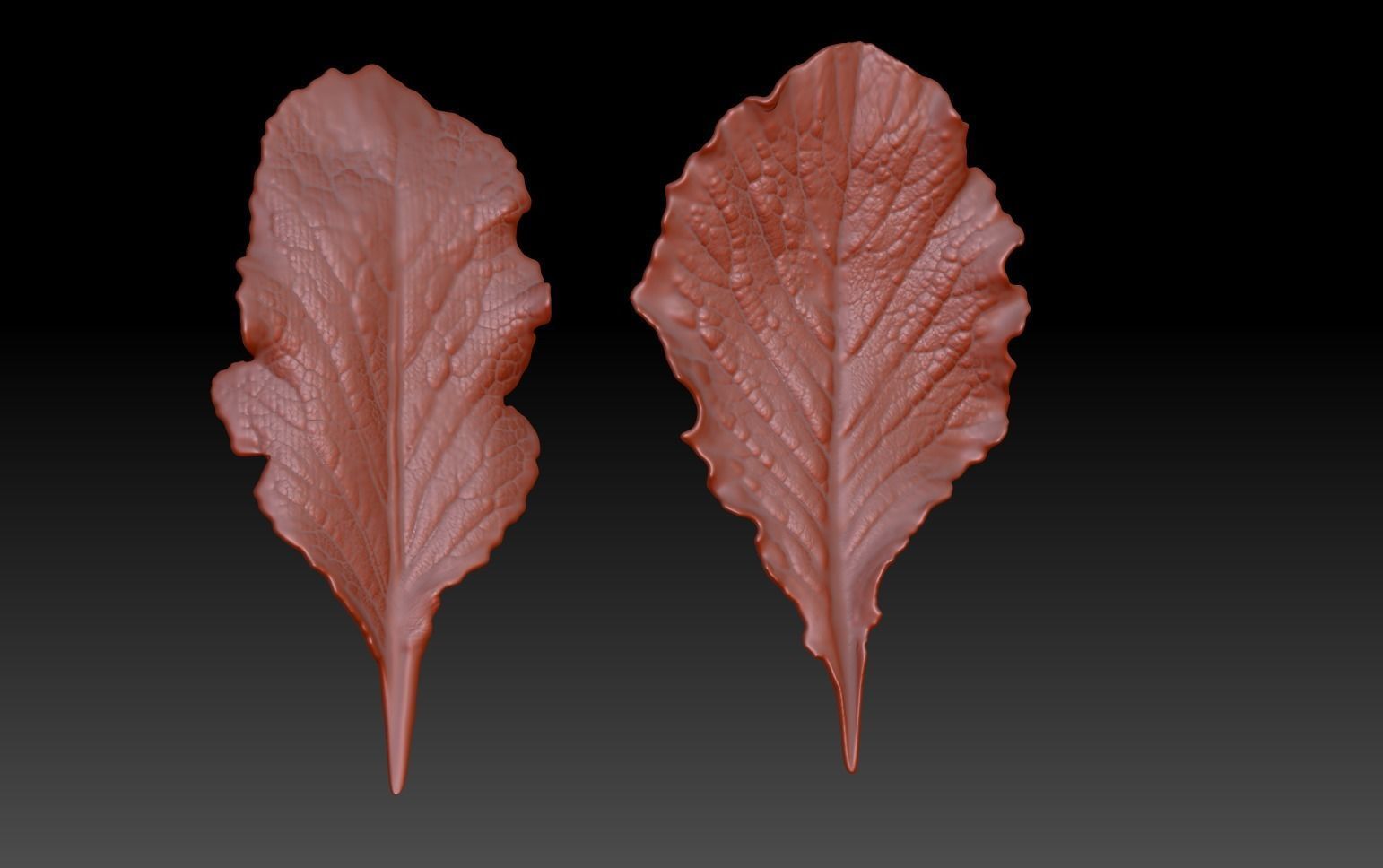 Leaf vegetable leaves leaf texture leaf sculpture 3D printing 3D model ...
