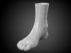 3D model Realistic Human Foot VR / AR / low-poly | CGTrader