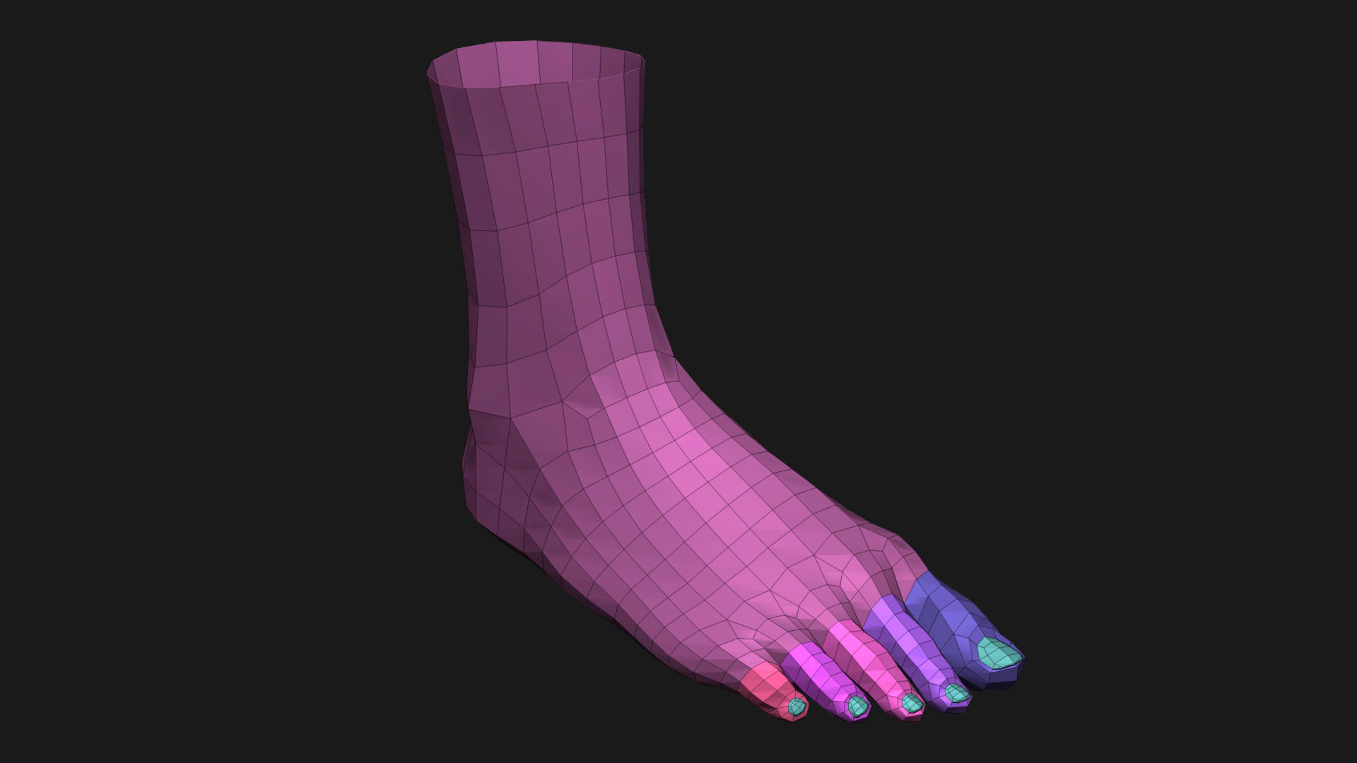 3D model Realistic Human Foot VR / AR / low-poly | CGTrader