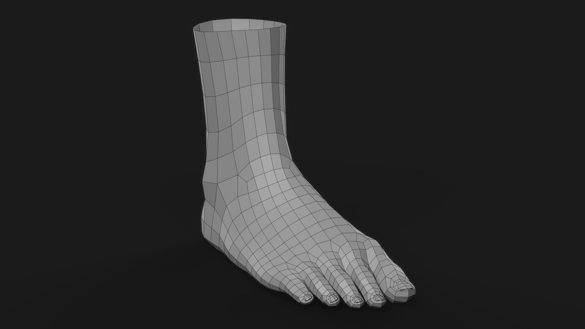 3D model Realistic Human Foot VR / AR / low-poly | CGTrader