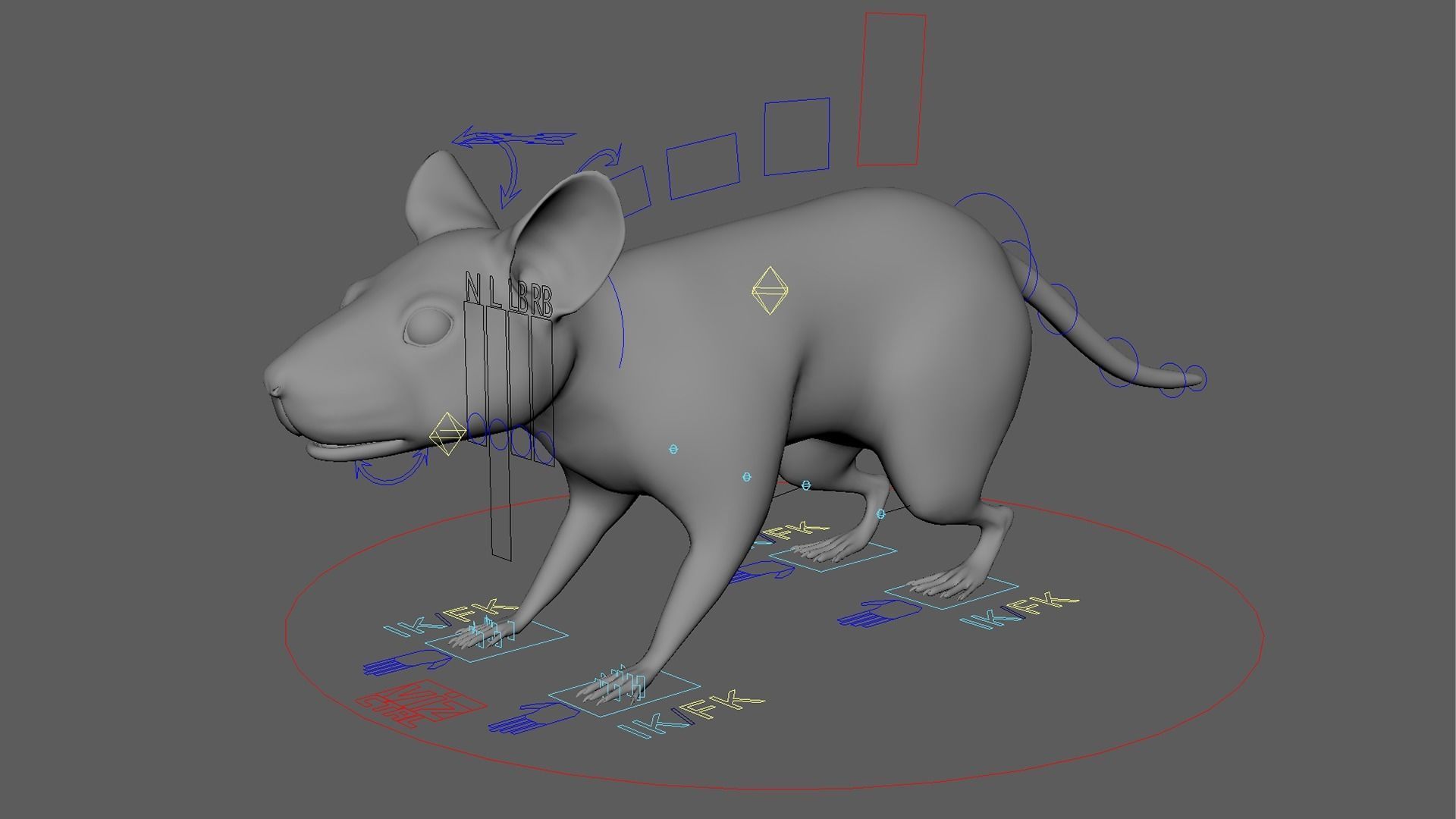 Rat Rigged 3D model 3D model rigged | CGTrader