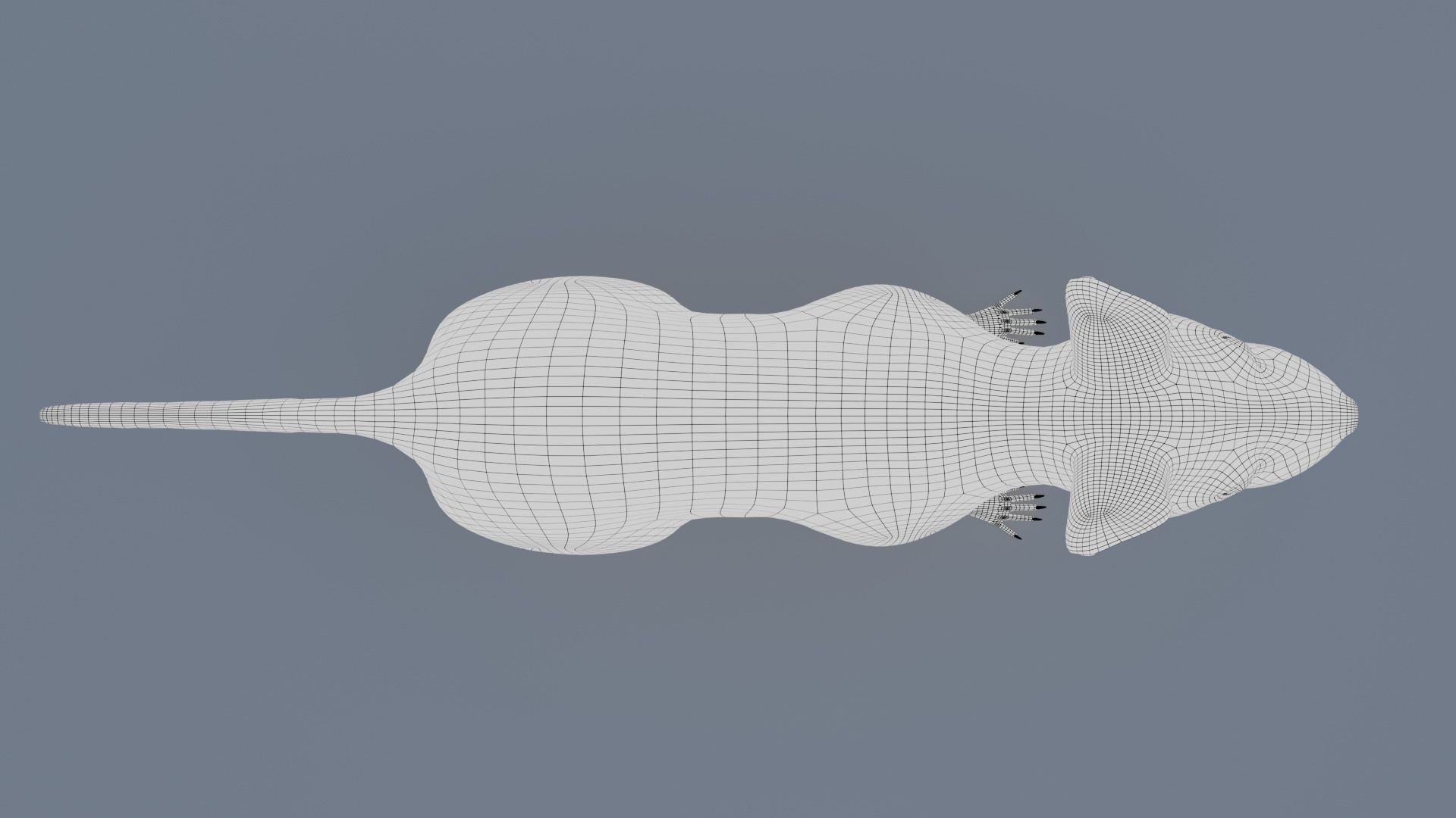 Rat Rigged 3D model 3D model rigged | CGTrader