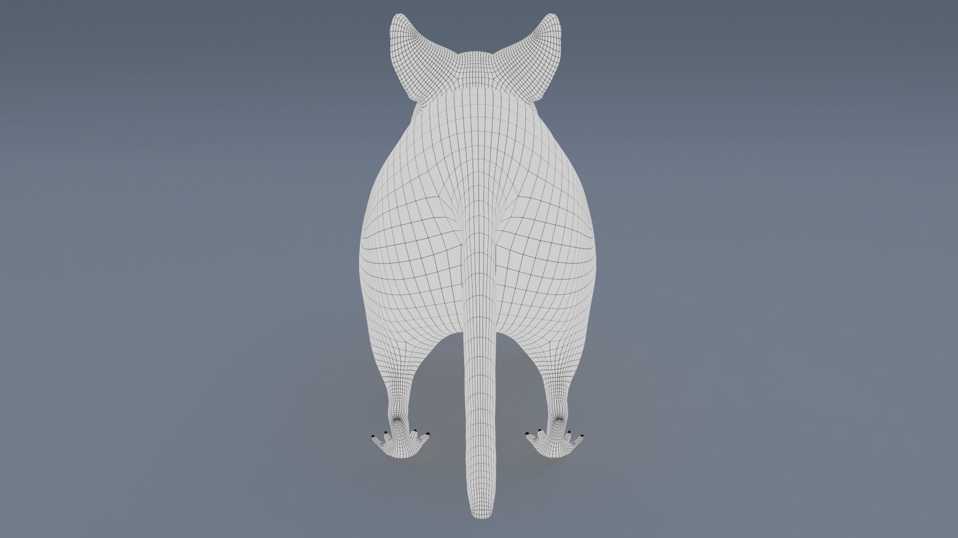 Rat Rigged 3D model 3D model rigged | CGTrader