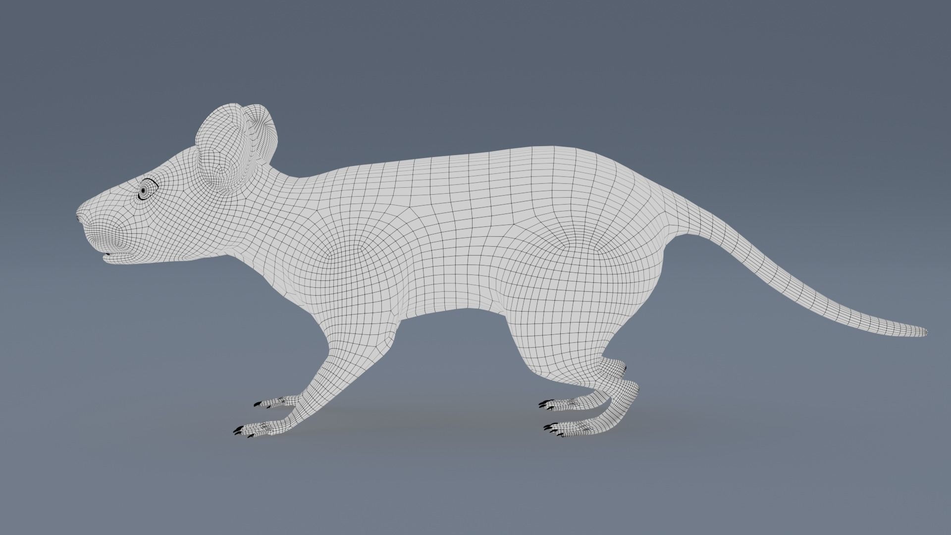 Rat Rigged 3D model 3D model rigged | CGTrader