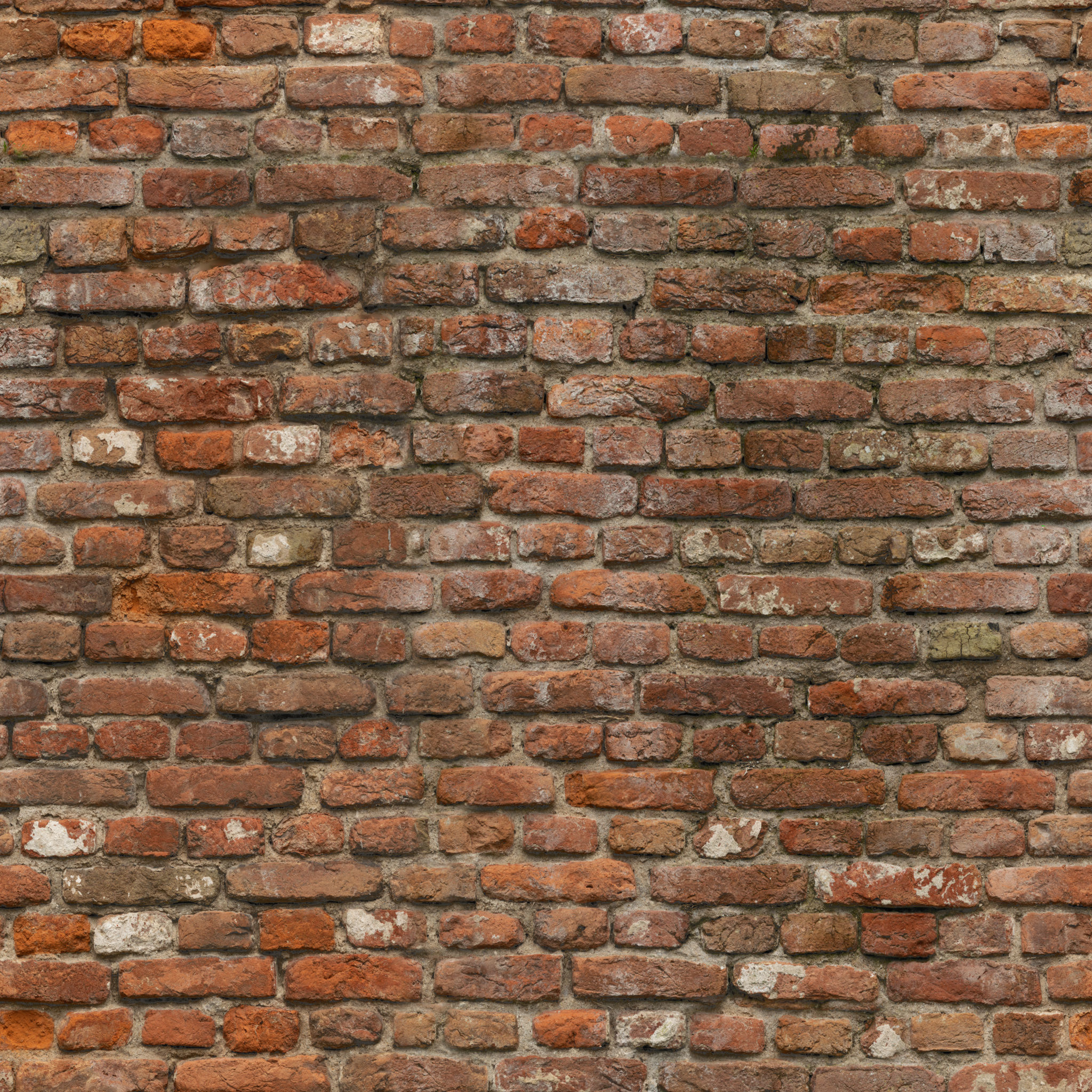 olden house 3d model free 3D model | CGTrader