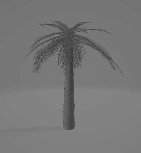 Palmtree palm tree free 3D model | CGTrader