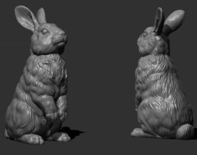 Rabbit 3D Print Models | CGTrader