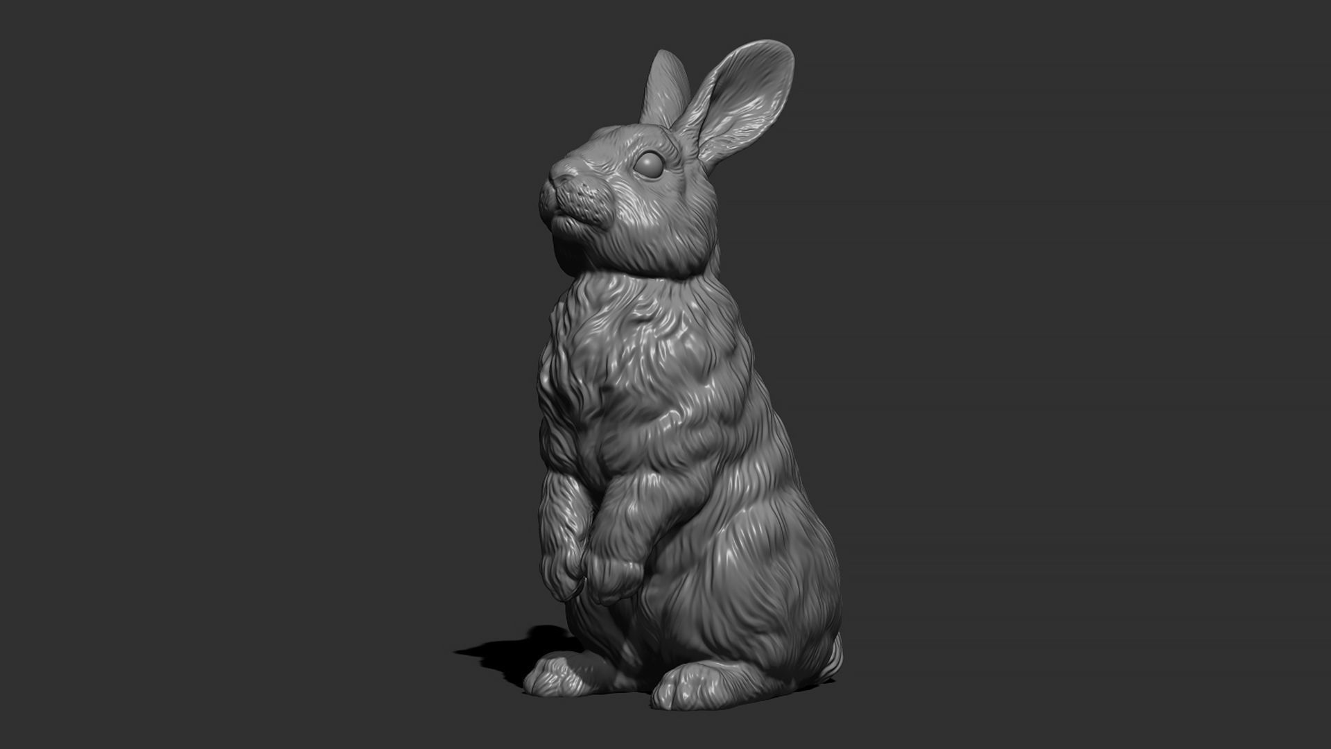 Rabbit bunny 3D model 3D printable | CGTrader