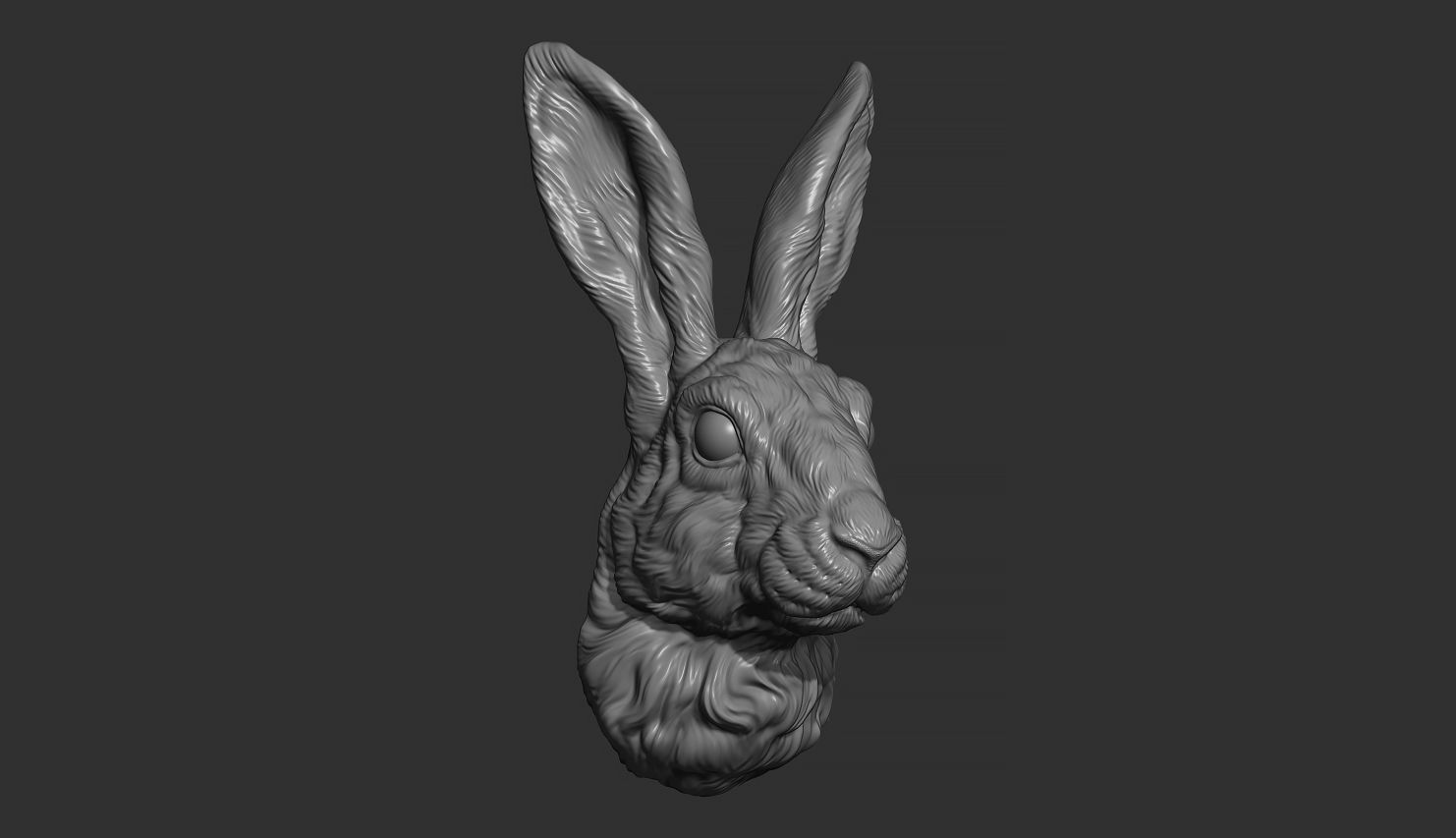 Hare head 3D model 3D printable | CGTrader