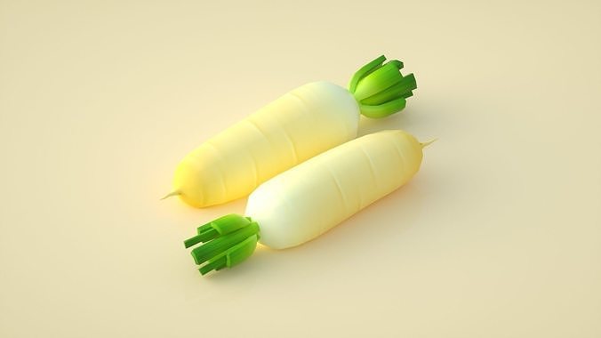 radish white radish 3D model | CGTrader