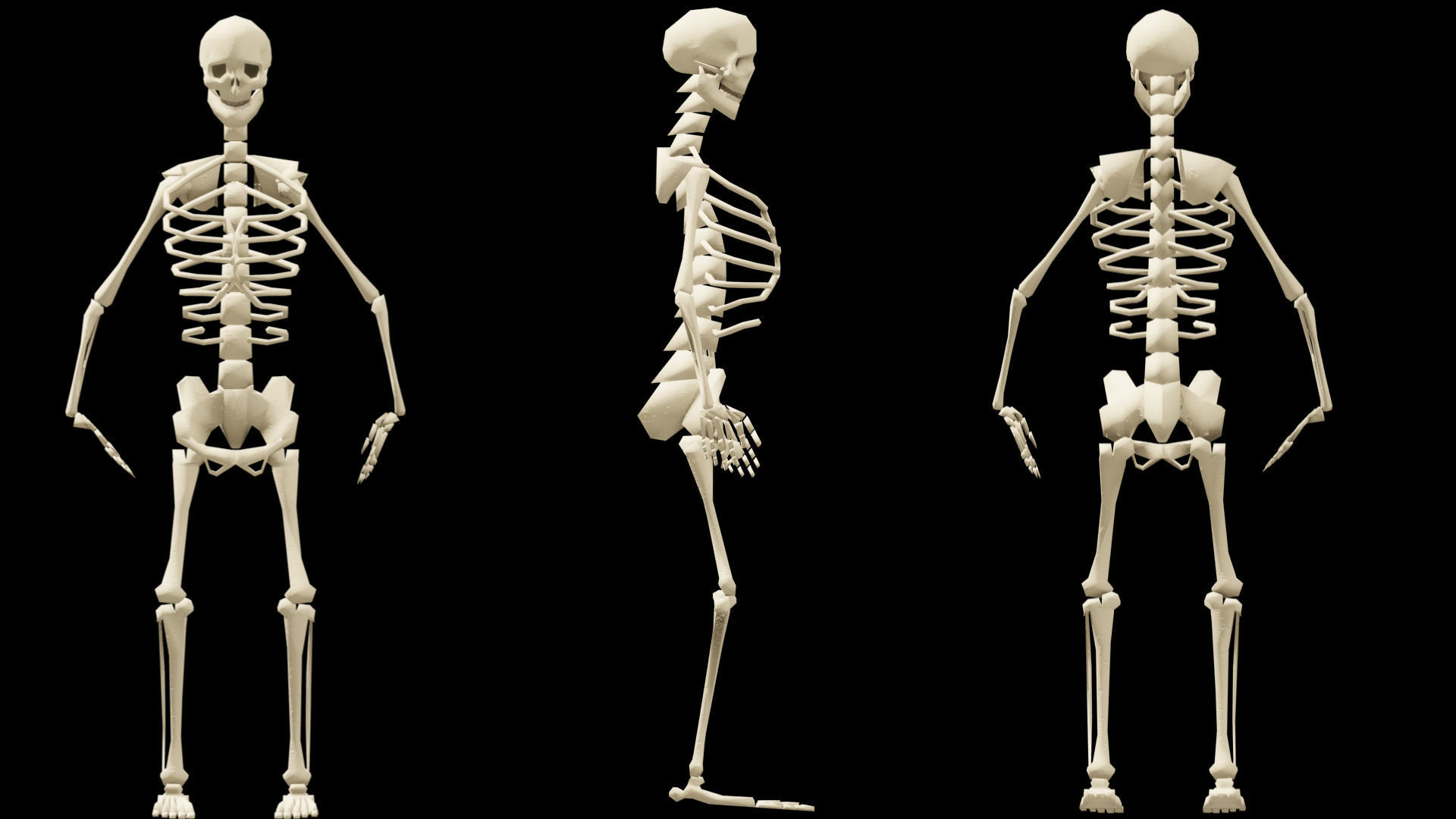 Rigged Human Skeleton Animated 3D model animated rigged | CGTrader