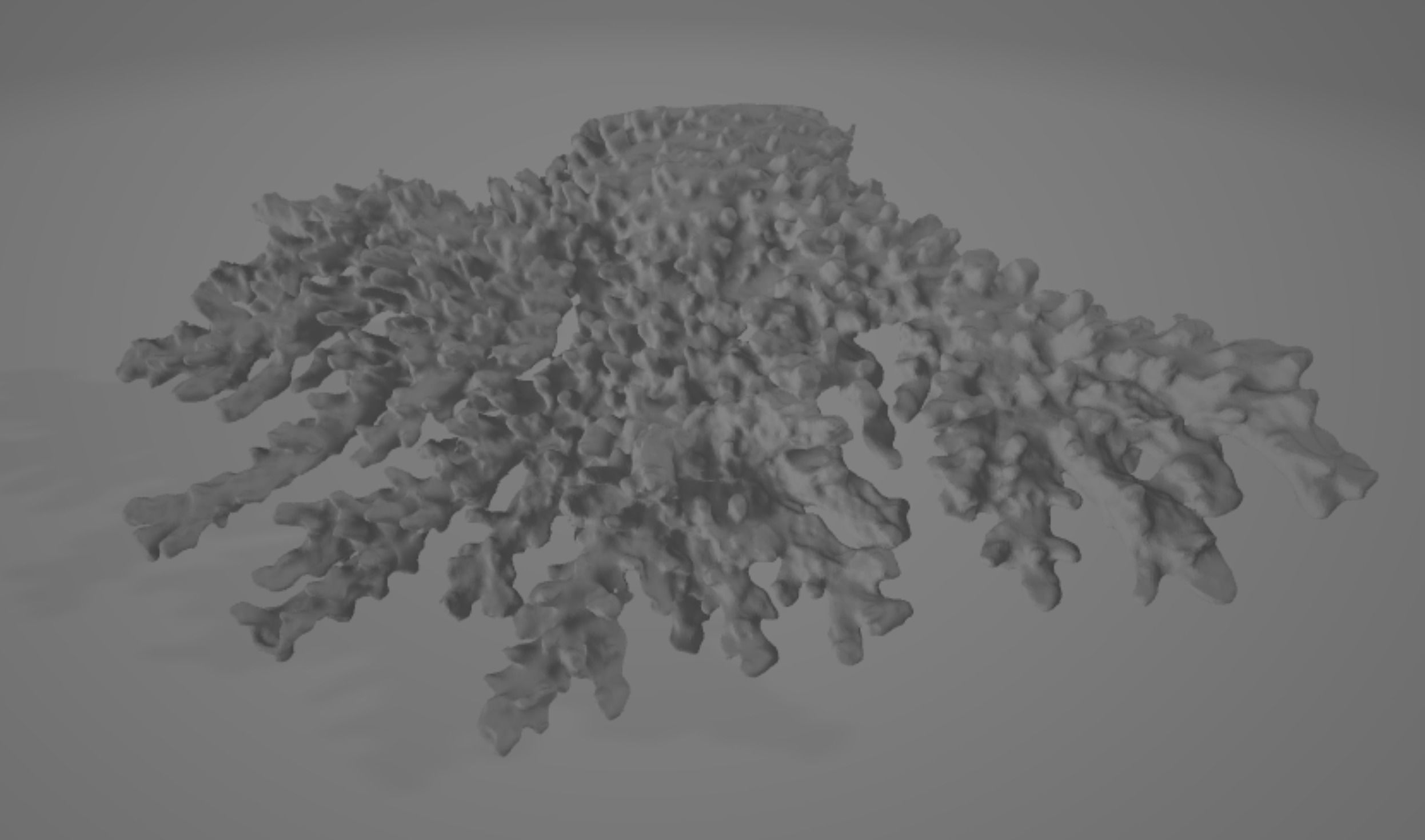 Intricate 3D scanned live Coral 3D model | CGTrader
