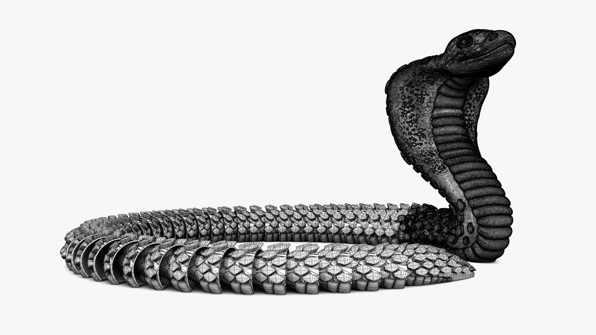 Cobra snake 3D model 3D printable | CGTrader