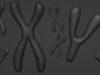 Detailed Chromosome 3D model and scene 3D model | CGTrader