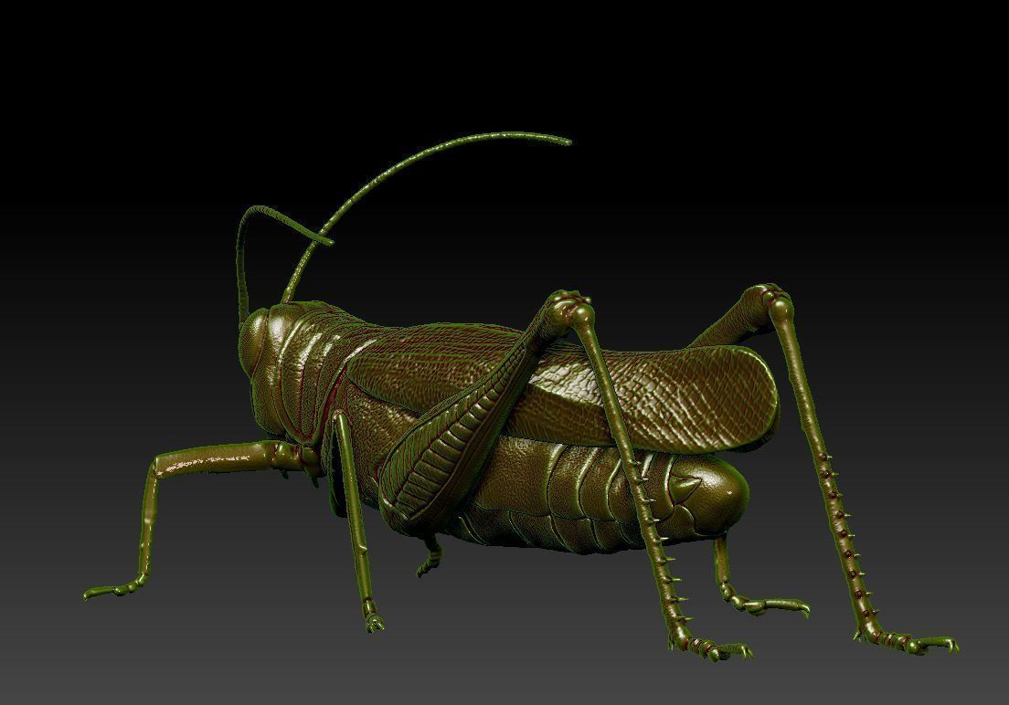 Grasshopper 3D model 3D printable | CGTrader