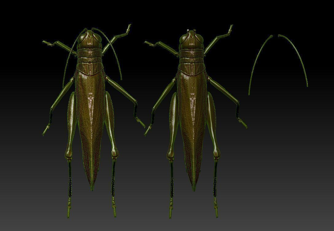 Grasshopper 3D model 3D printable | CGTrader