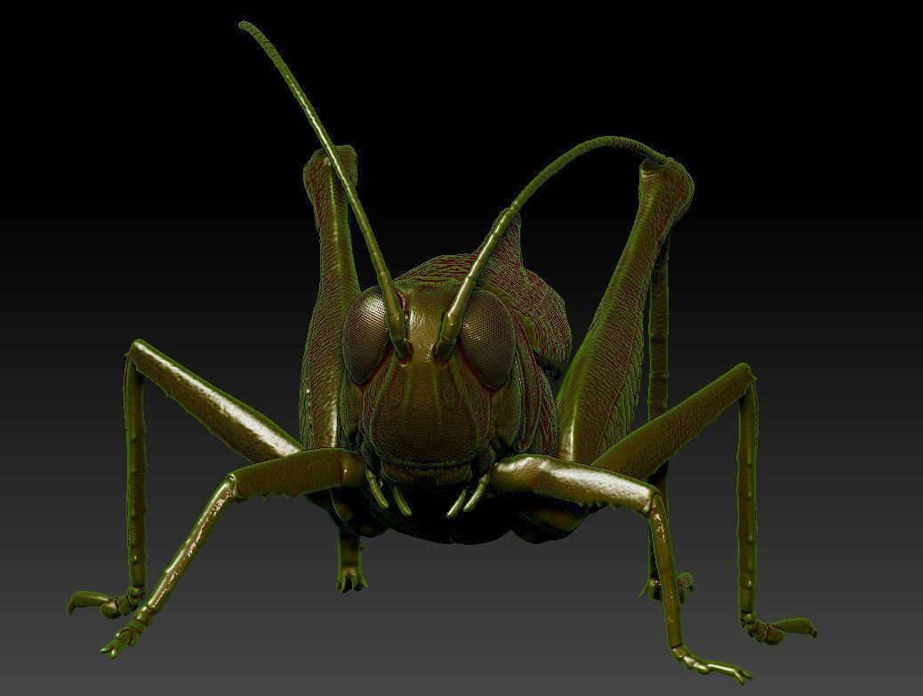 Grasshopper 3D model 3D printable | CGTrader