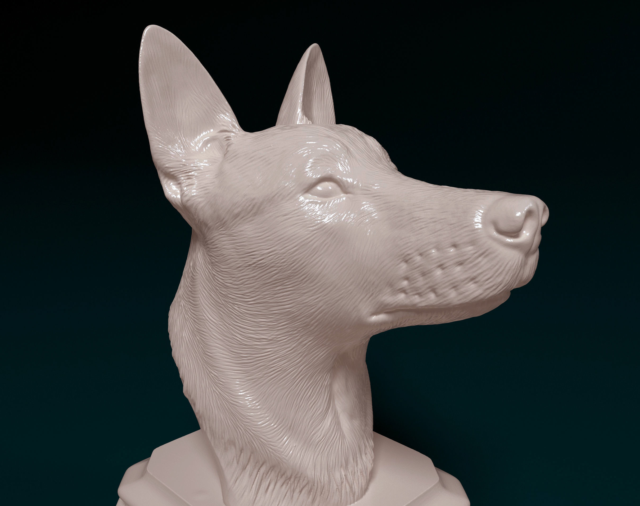Malinois dog bust 3D model 3D printable | CGTrader