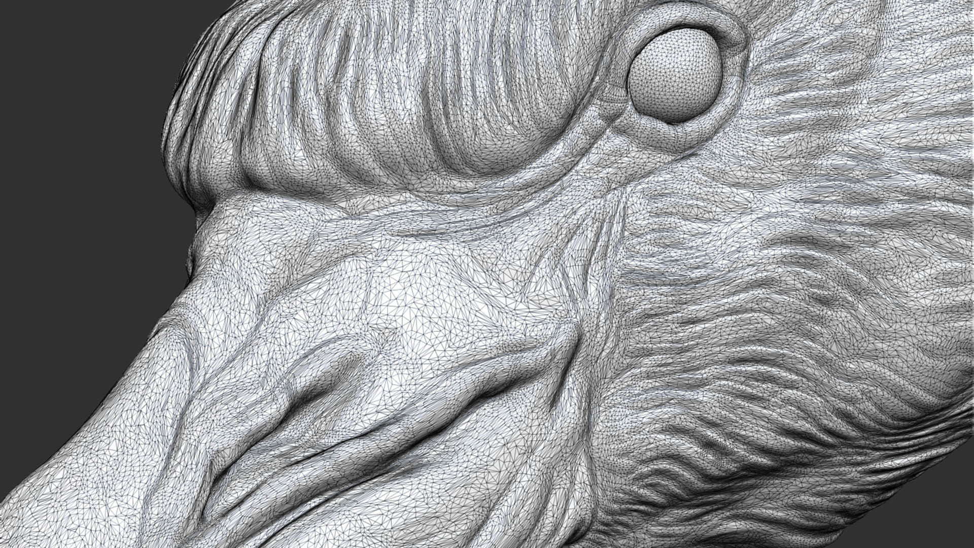 Flamingo head 3D model 3D printable | CGTrader