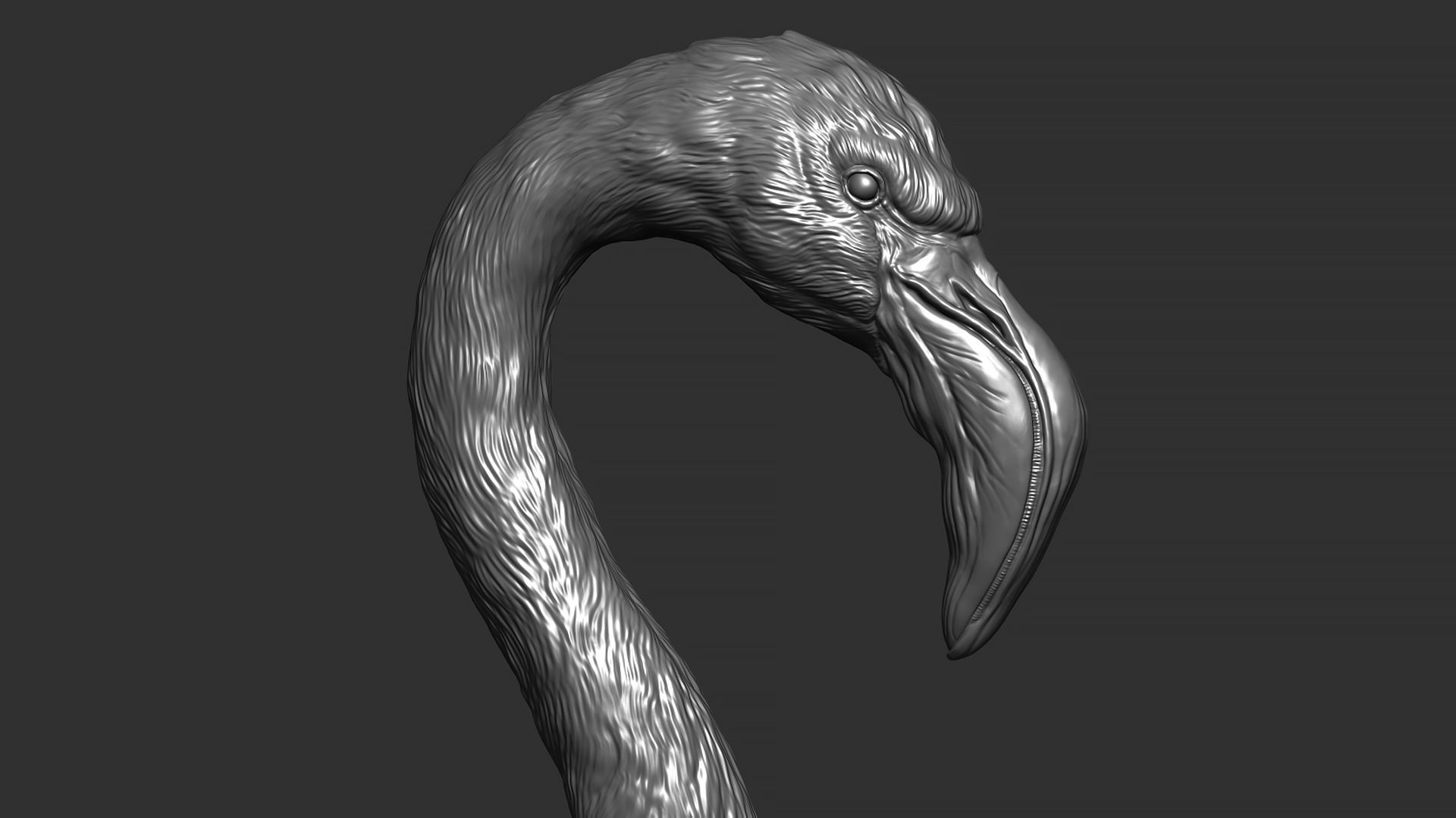 Flamingo head 3D model 3D printable | CGTrader