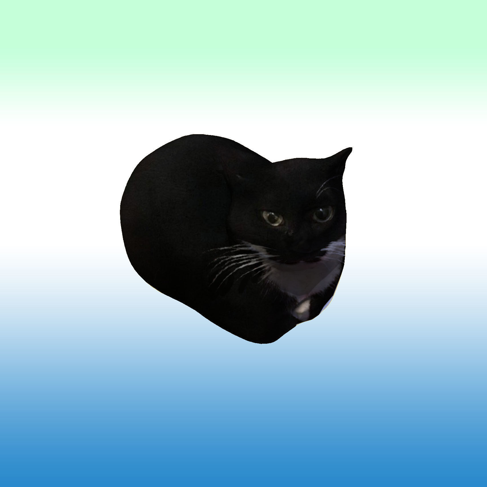 3D model Maxwell The Cat VR / AR / low-poly | CGTrader
